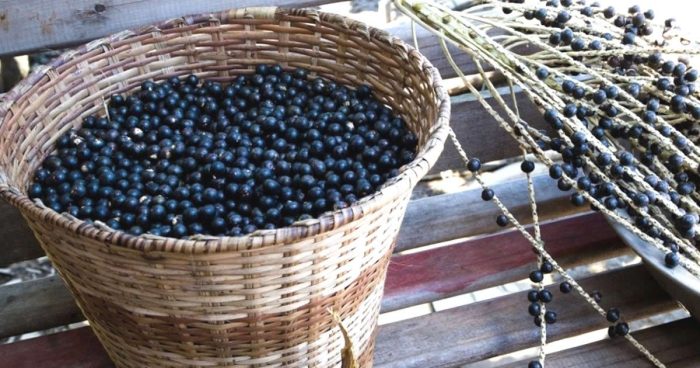¿Cómo hacer helado de açaí en casa?